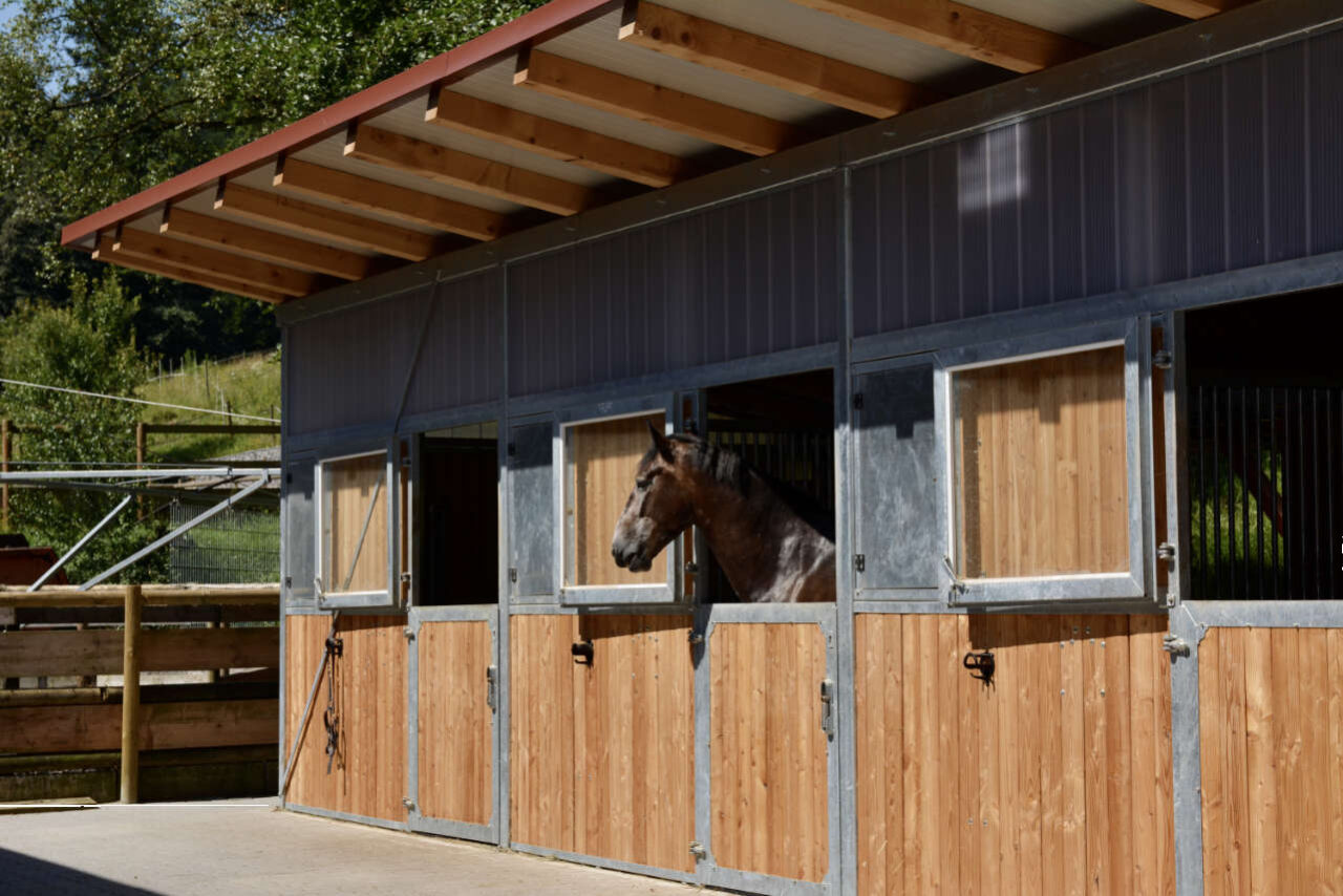 Outdoor stalls - Hau Pferdesport