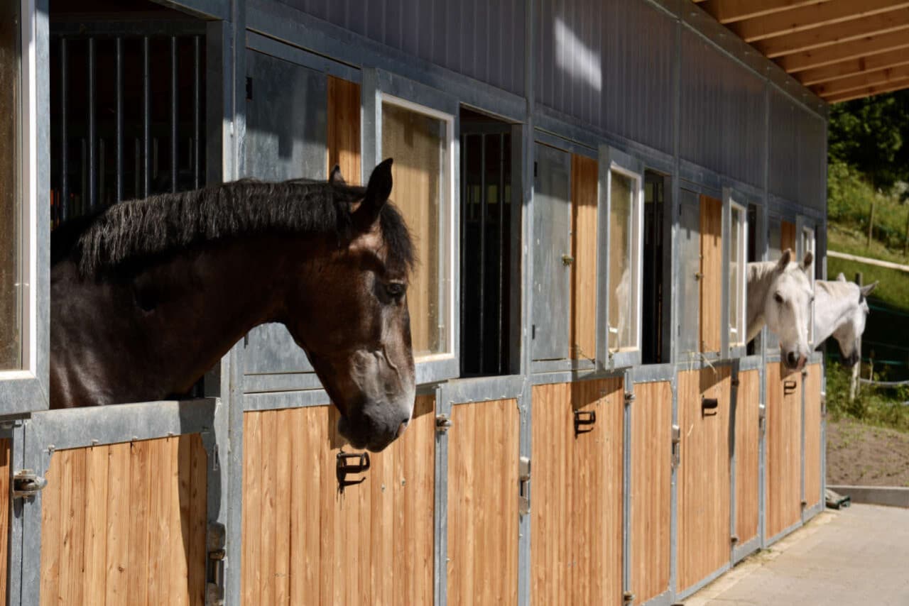 Outdoor stalls - Hau Pferdesport